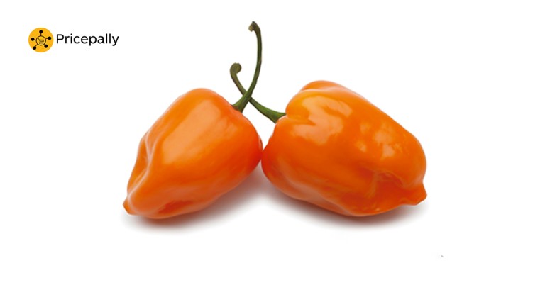 Types of Nigerian Pepper and How to Use Them - Pricepally Blog