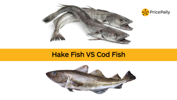 Everything to Know About Hake Fish Before Buying - Pricepally Blog